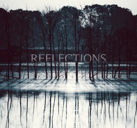 PUSHING DAISY – Reflections – SaitenKult