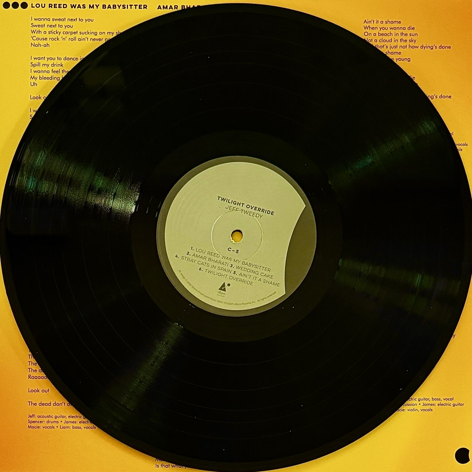 JEFF TWEEDY – Twilight Override – SaitenKult